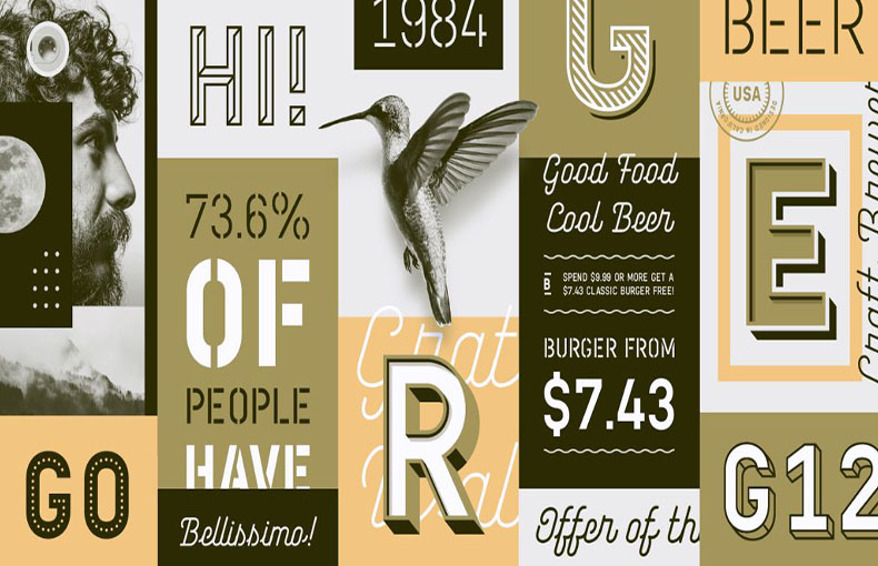 Chamelton Font Free Download - Font Pearl