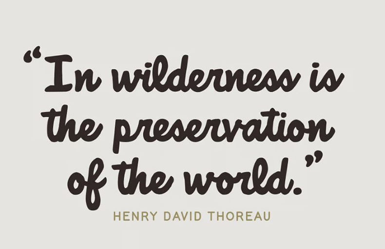 National Forest Font Free Download - Font Pearl